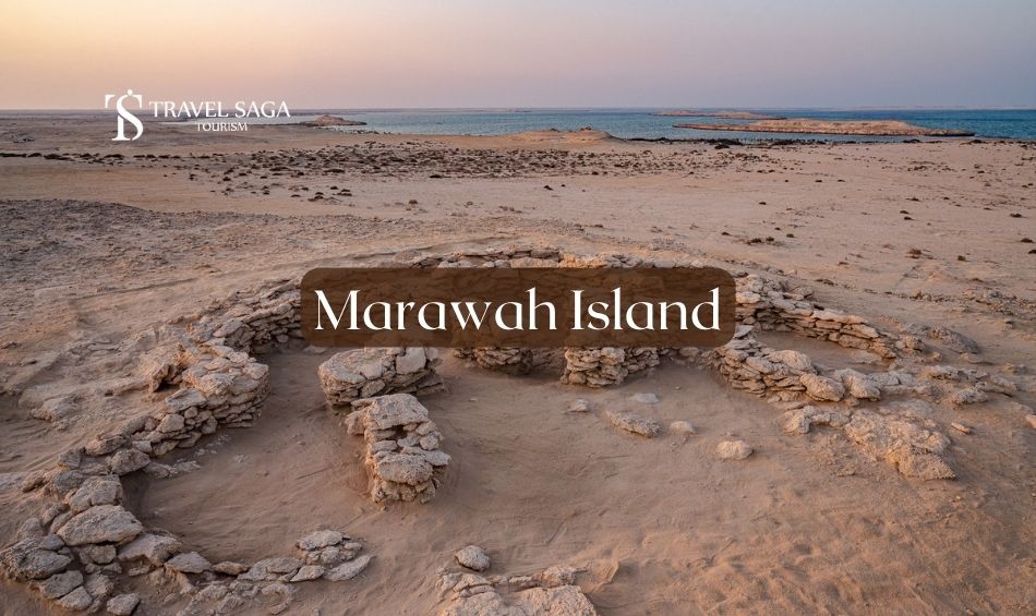 Marawah Island (Abu Dhabi) History, Things to See & How to Rech